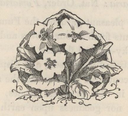 Letter E : The Catholic Language of Flowers : Catholic Cornucopia